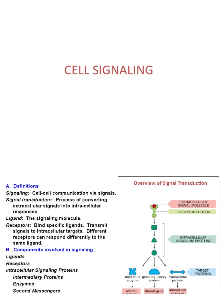 Signal Transduction | PDF | Cell Signaling | Signal Transduction