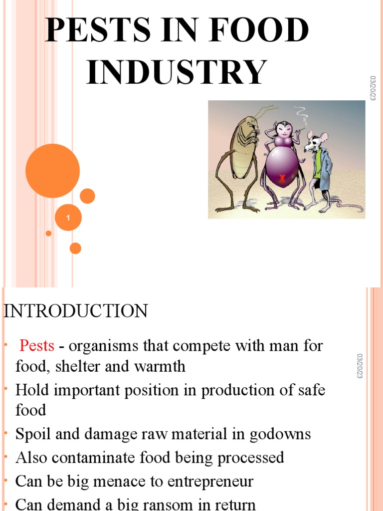 Pest Control in the Food Industry | PDF | Pest (Organism) | Rodent