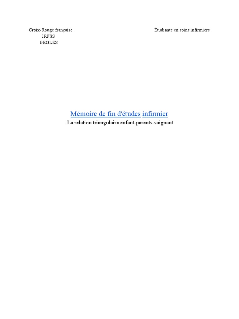 Exemple de Sommaire - Memoire de Fin Detudes Infirmier | PDF