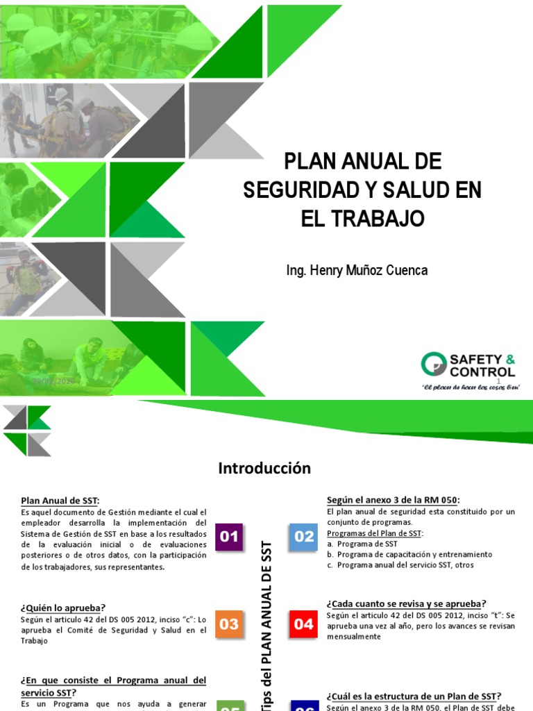 Plan Anual de SST PDF | PDF | Auditoría | Business
