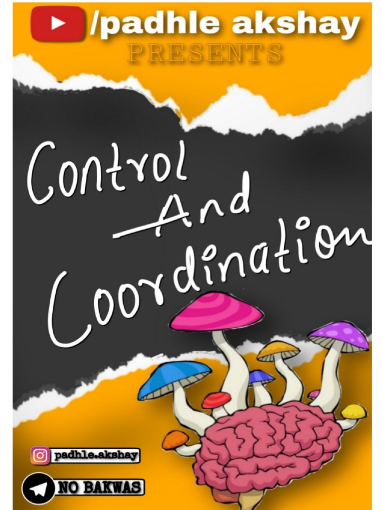 Control and Coordination - Watermarked PDF | PDF | Neuron | Nerve