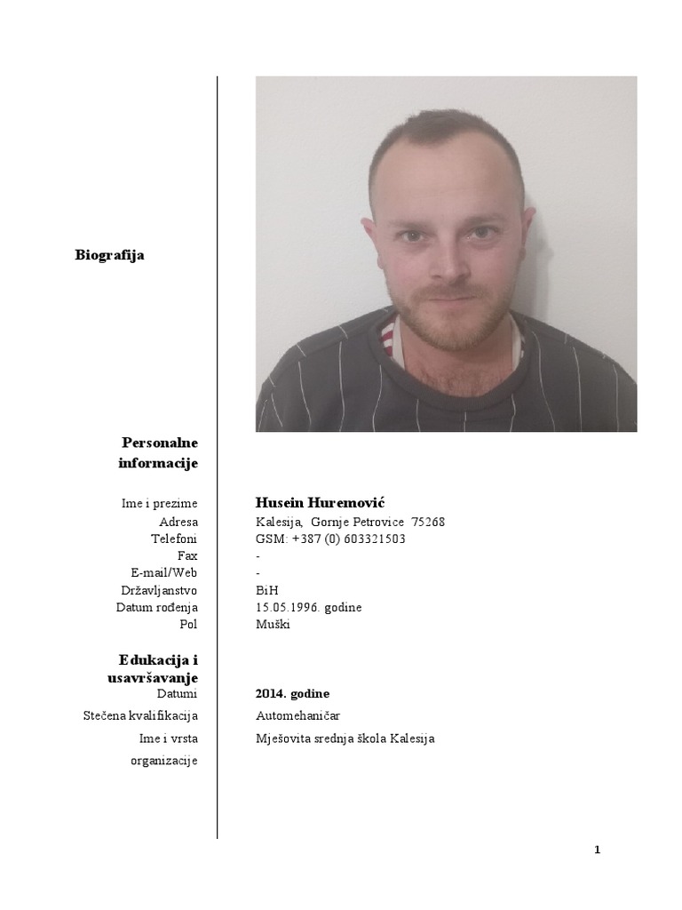 CV - Husein Huremovic | PDF