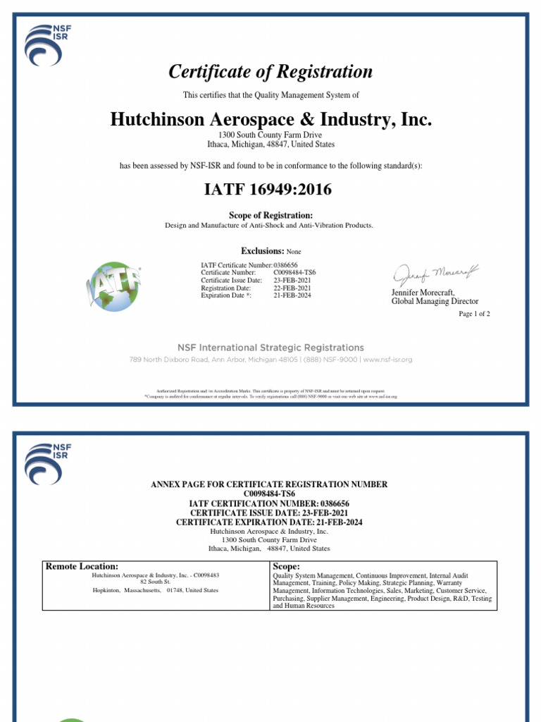 IATF-16949-2016 - Hutchinson | PDF | Economies | Business Process