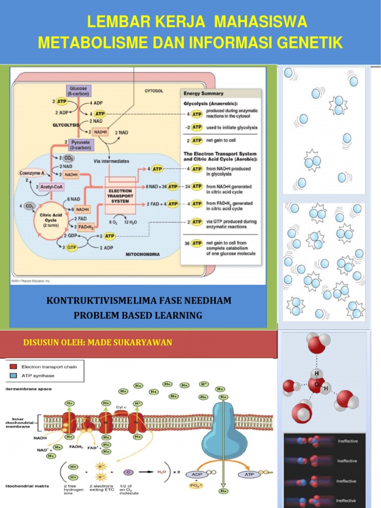 Proses Ekspresi Genetik Makhluk Hidup | PDF