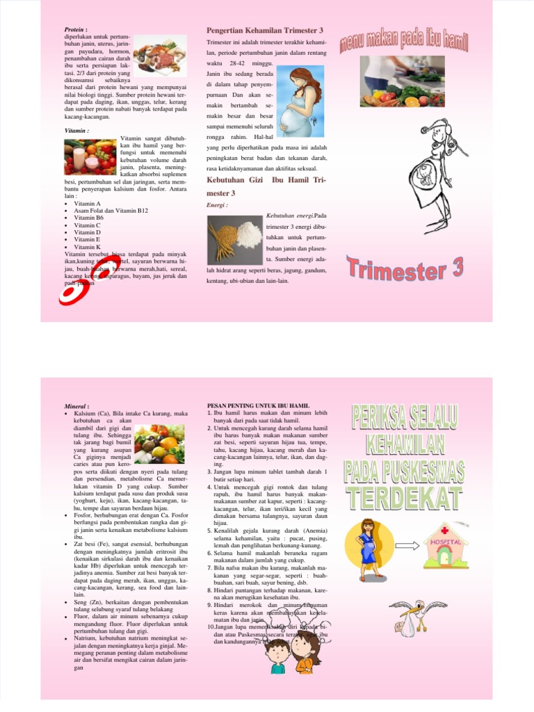 dokumen.tips_leaflet-ibu-hamil-trimester-3 | PDF