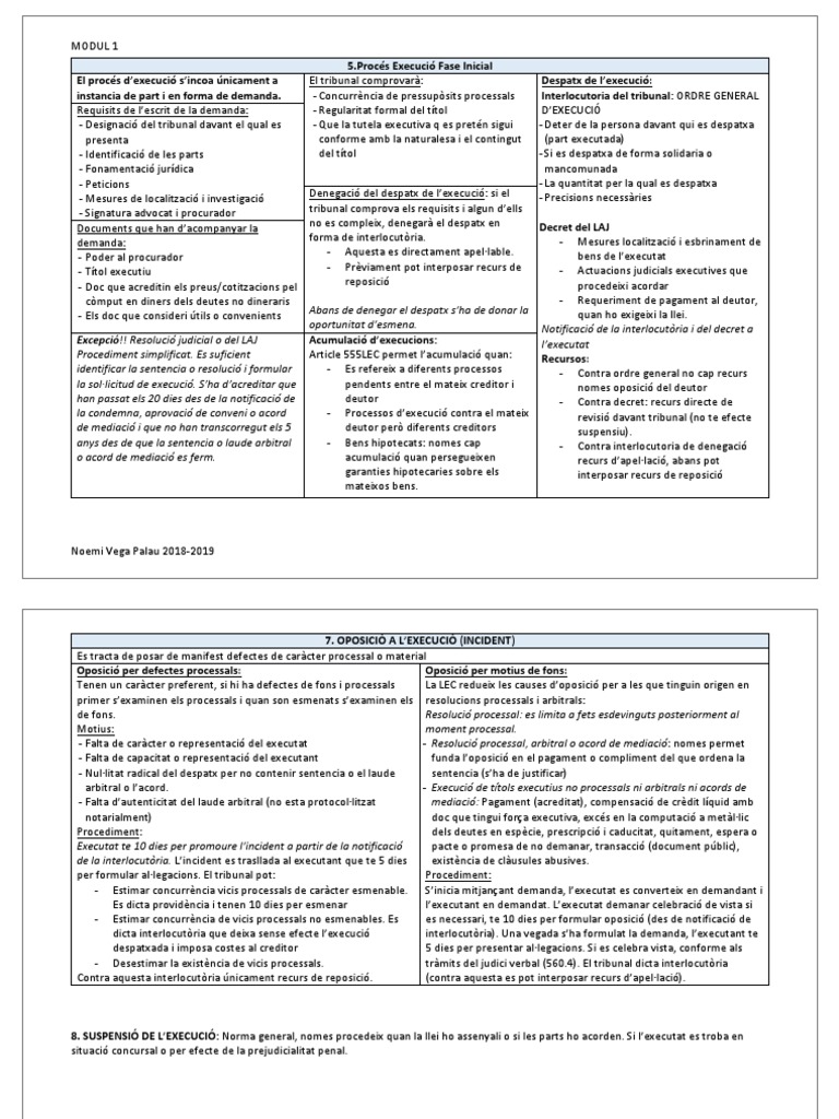 Resum Processal Esquemes | PDF