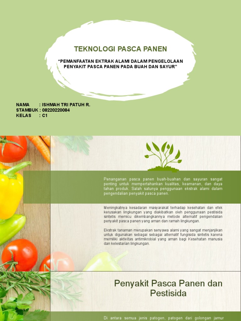 Pasca Panen Jurnal | PDF