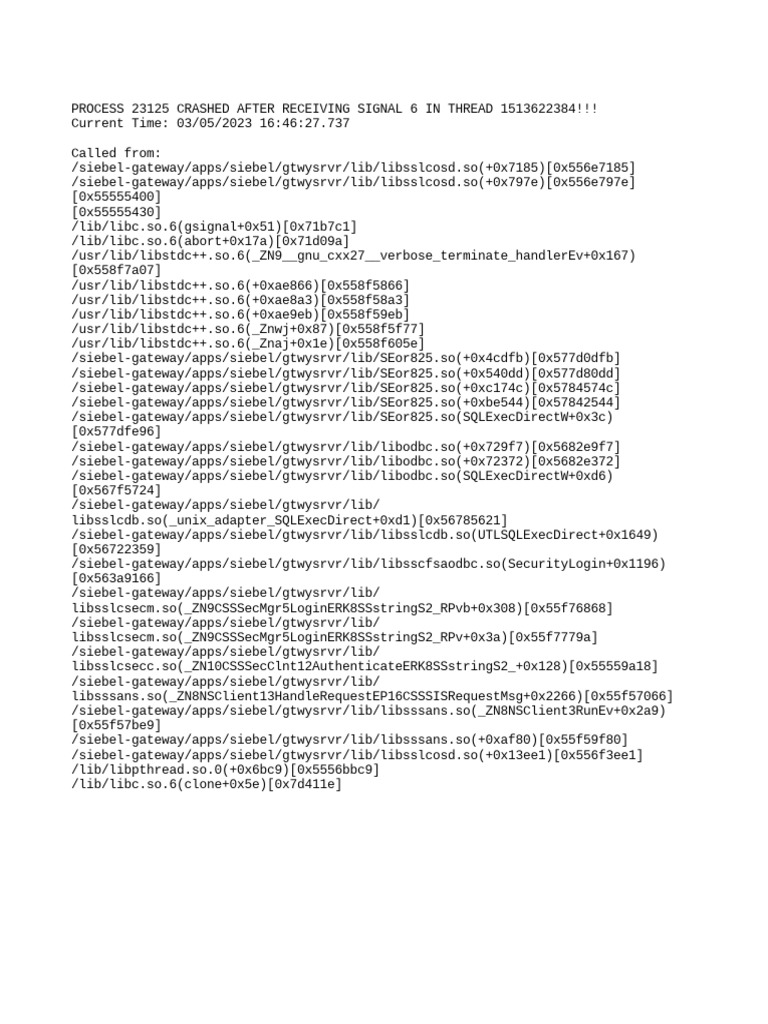 Callstack 23125 | PDF