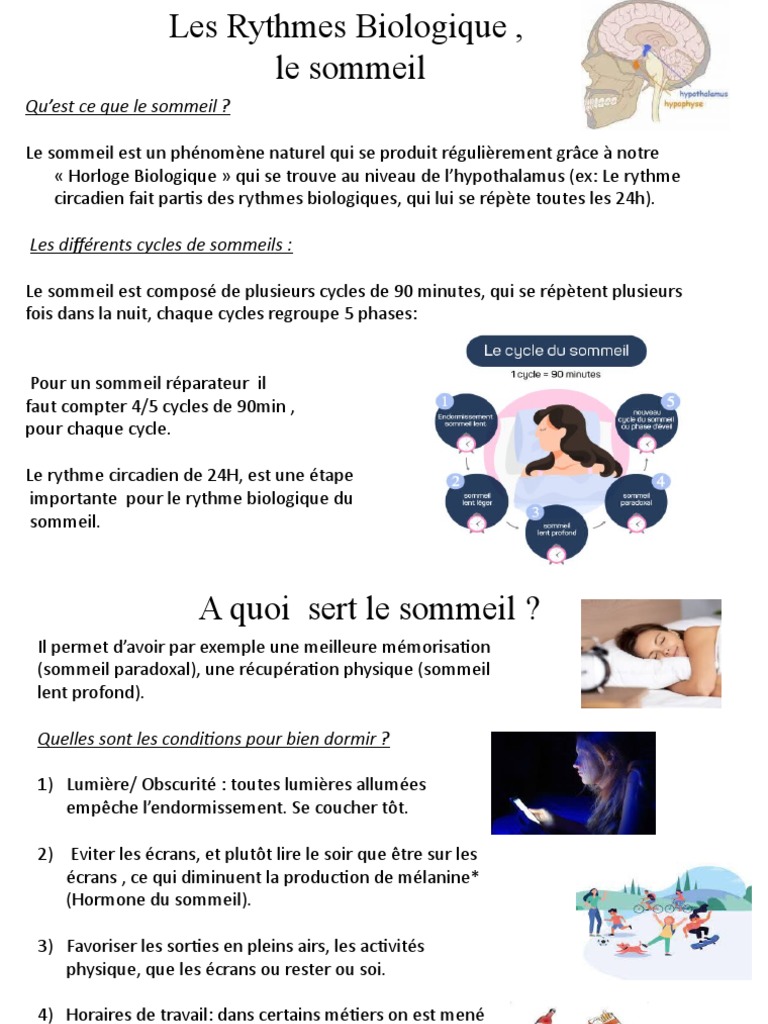 Expo Le Sommeil | PDF | Sommeil | Physiologie