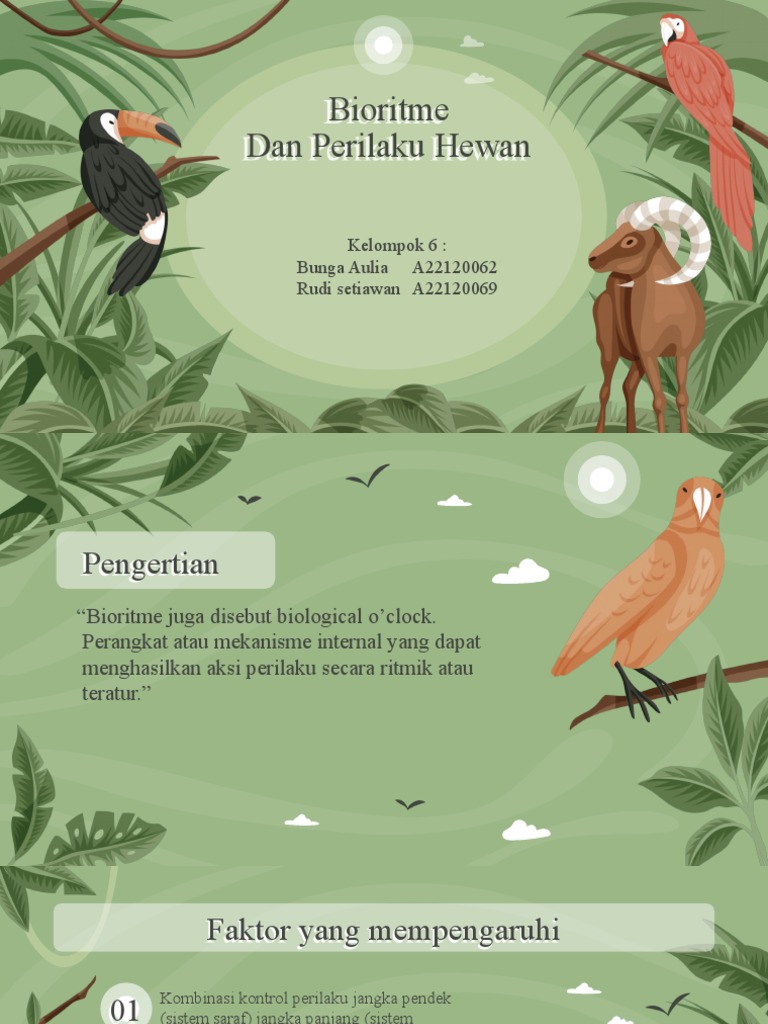 Kel 6 Bioritme | PDF