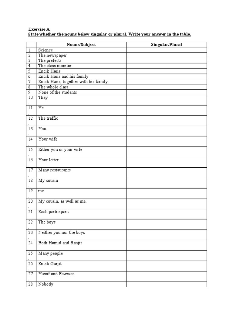 Singular Plural Nouns Exercise | PDF