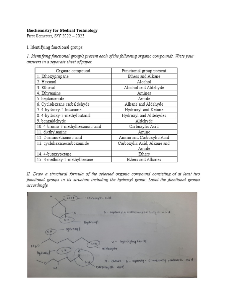 BioChem - Activity 1 | Download Free PDF | Functional Group | Chemistry