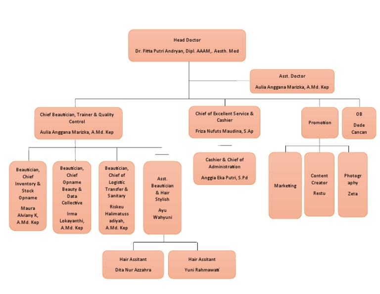 Organizational Chart for a Beauty Clinic Depicting Leadership Roles and ...