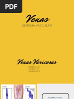 Signo de Homans y TVP: Diagnóstico Clínico | PDF | Angiología | Rtt
