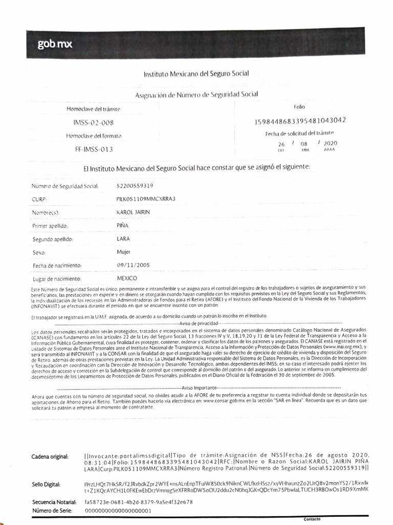 Formato Del Imss PDF | PDF