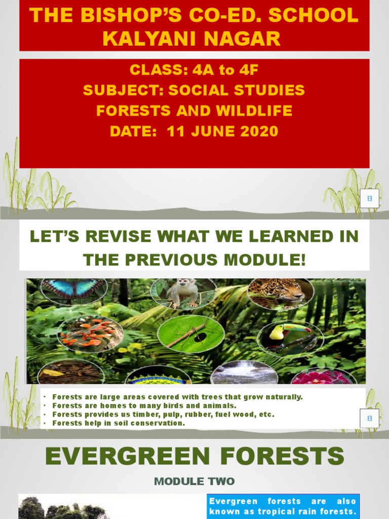 Class 4-Social Studies-Digital Module 1-15-11th June 2020 | PDF ...