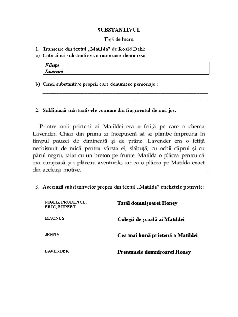 Fisa Substantivul | PDF