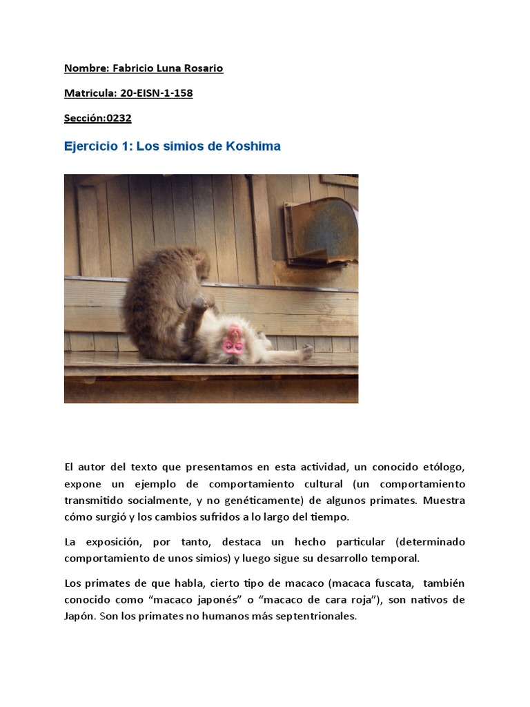 Olaxd | PDF | Miel | Colmena