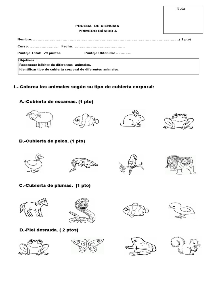 Prueba Ciencias - De-Cubierta-De-Los-Animales | PDF