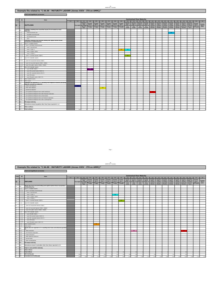 Example Template C66.00 of Annex XXIV | PDF | Repurchase Agreement ...