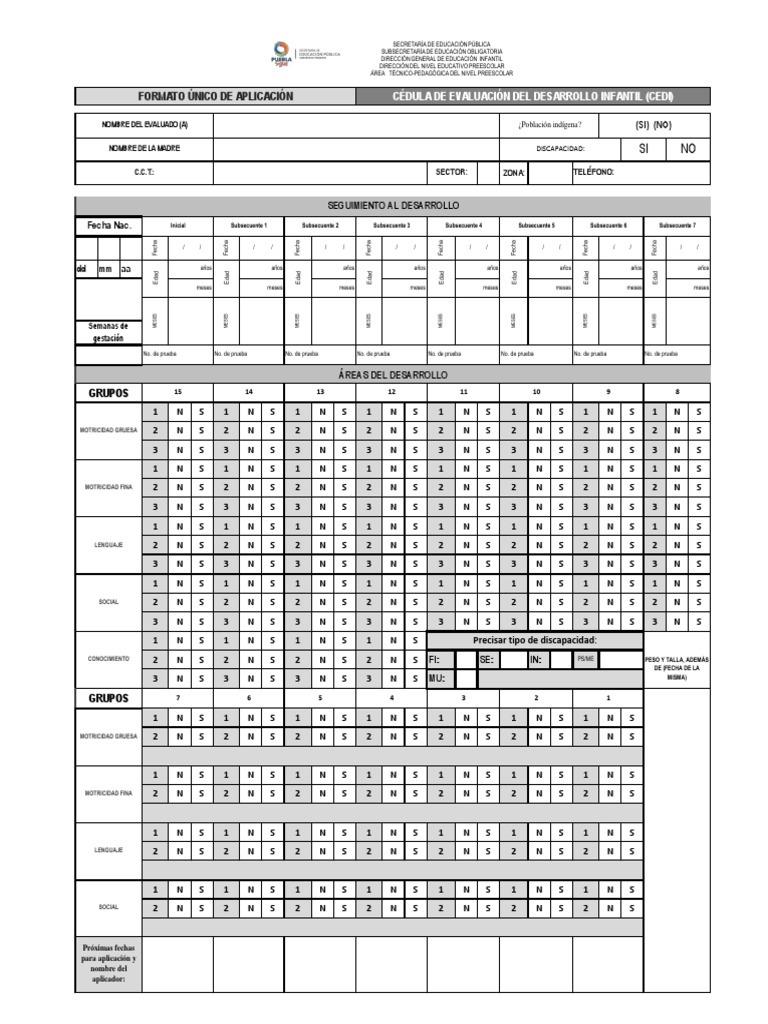 Hoja de Aplicacioìn Cedi - Incluidogrupo15 PDF | Descargar gratis PDF | Educación de la primera ...