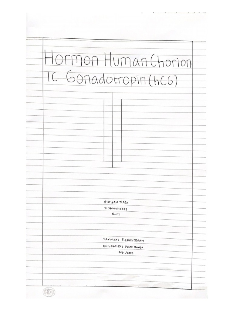 WP Fisiologi Hormon HCG | PDF