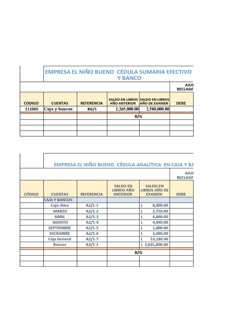 Cedulas Sumarias | PDF
