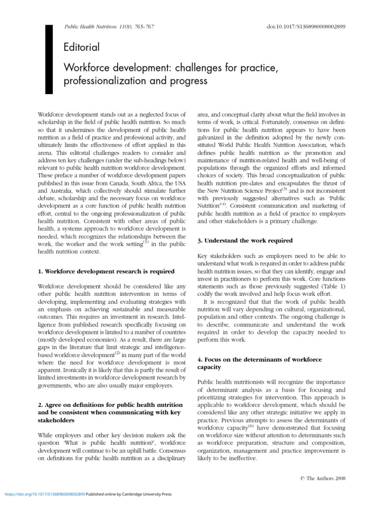 Workforce Development Challenges For Practice Professionalization and Progress | PDF | Workforce ...