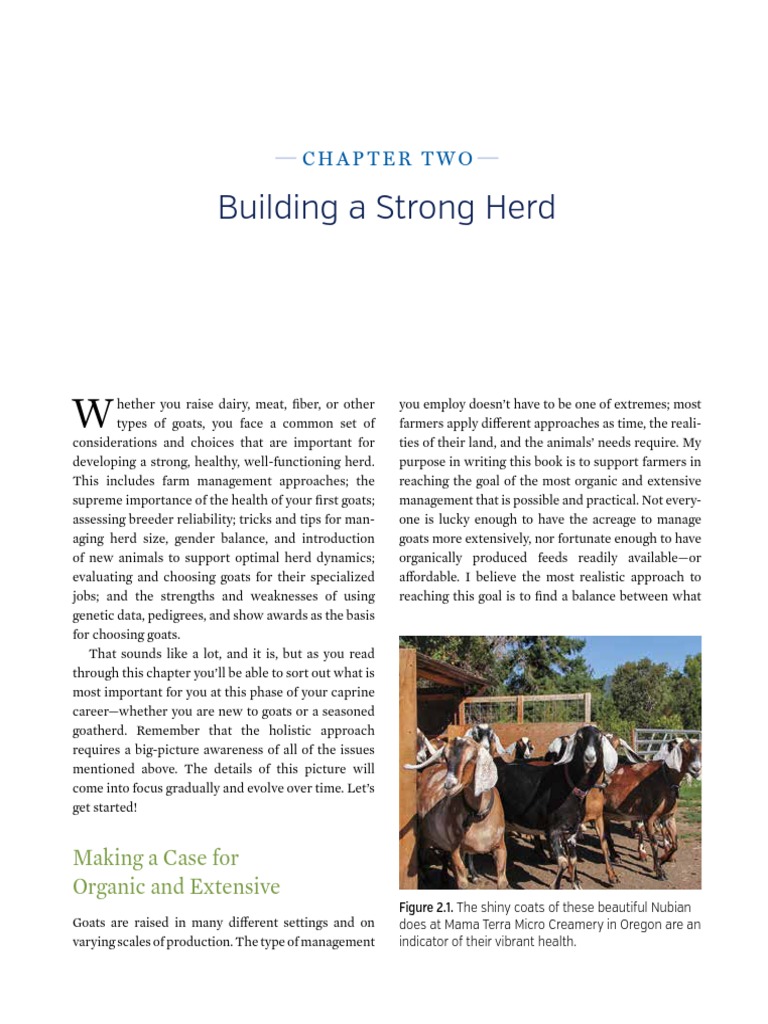 Holistic Goat Care and Management Guide | PDF | Goat | Herd