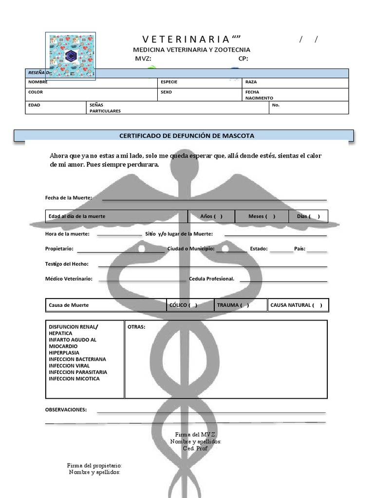 Certificado De Defunción Pdf