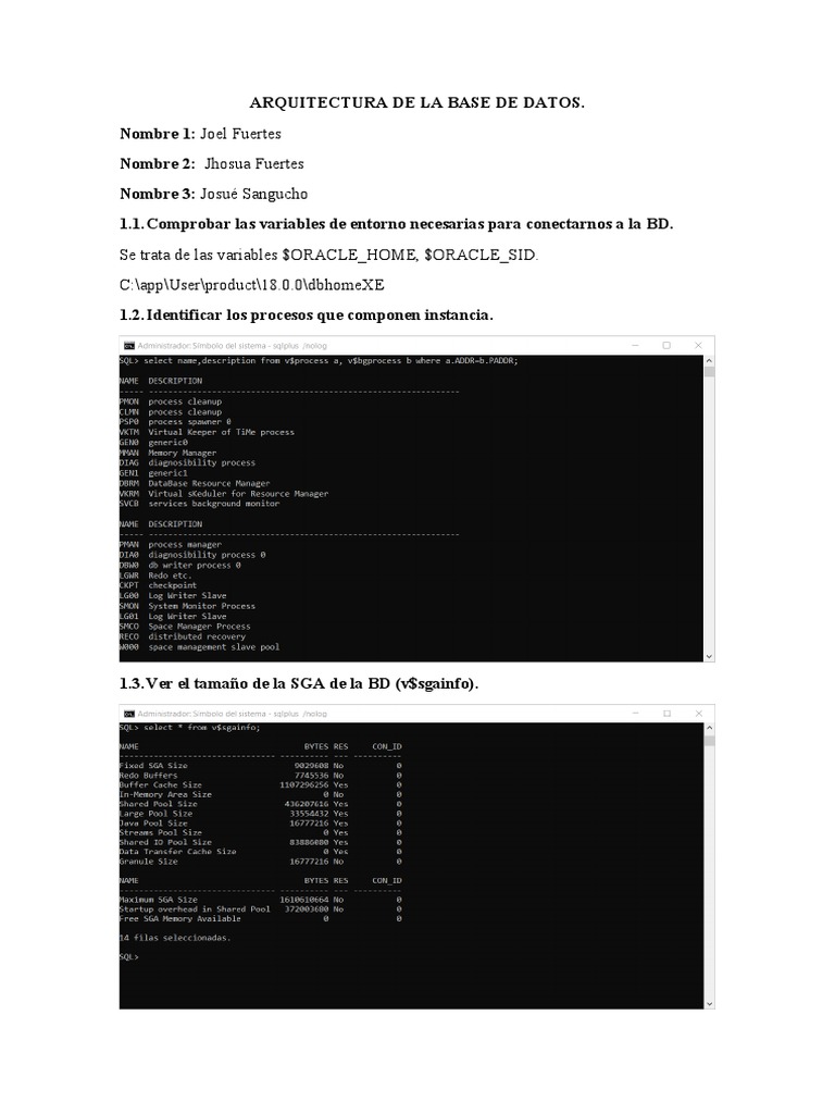 2-Examen Práctico de Arq. Base de Datos Oracle | PDF
