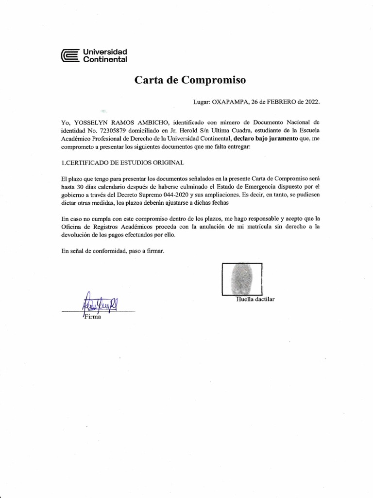 Carta de Compromiso | PDF
