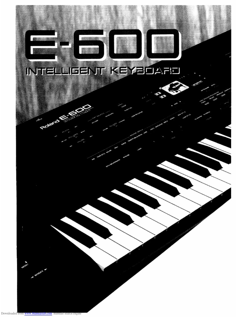 E600 Arranger User Manual | PDF | Web Software | Web Technology