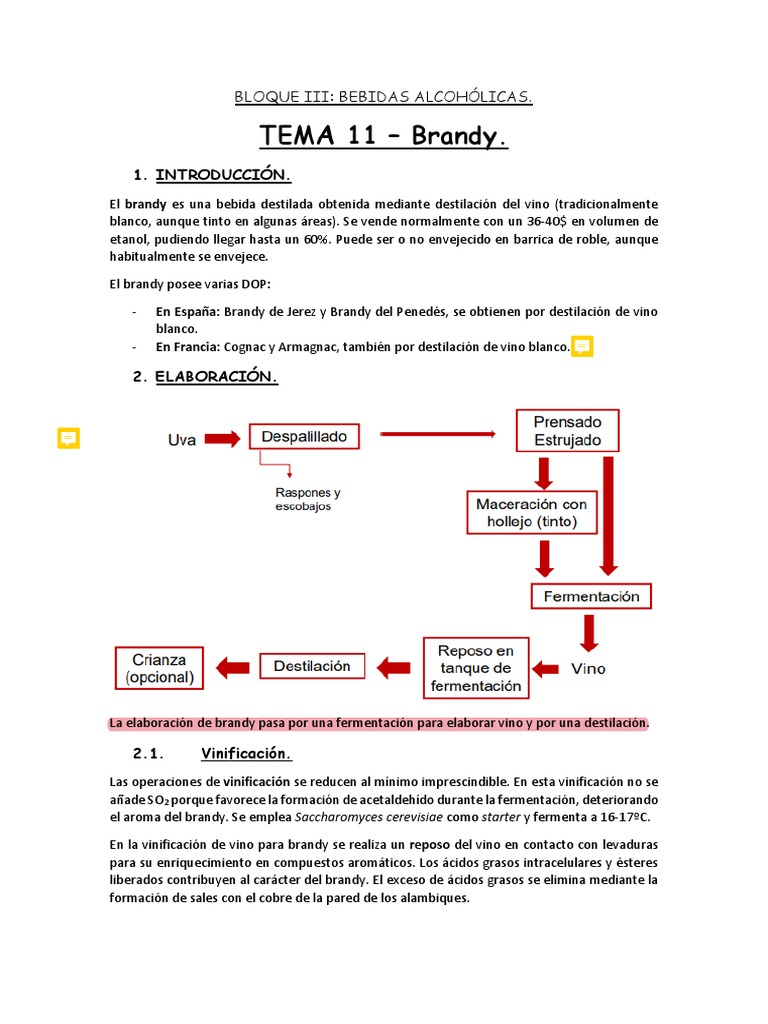 Tema 11 - Brandy | PDF