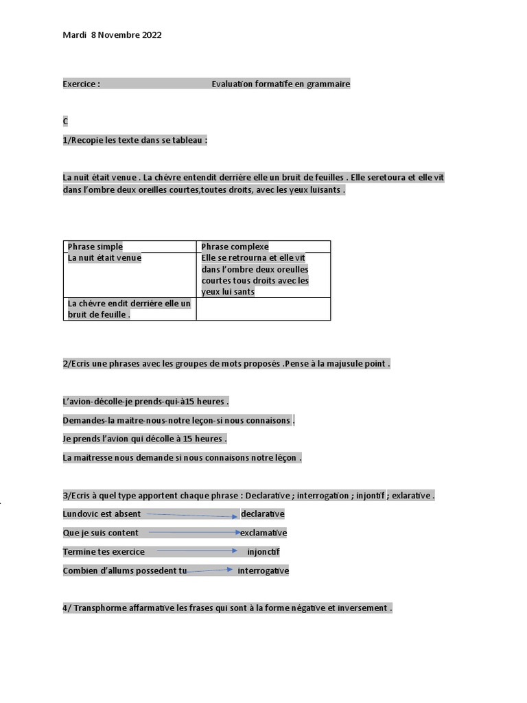 Évaluation de grammaire : exercices et types de phrases | PDF