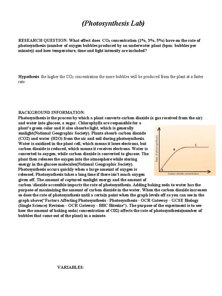 Photosynthesis Lab Report | PDF | Photosynthesis | Carbon Dioxide