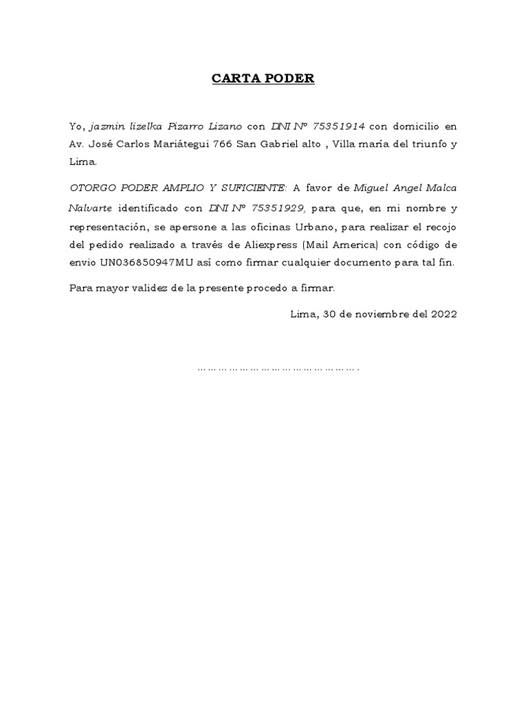 Carta Poder Modelo Simple111 | PDF