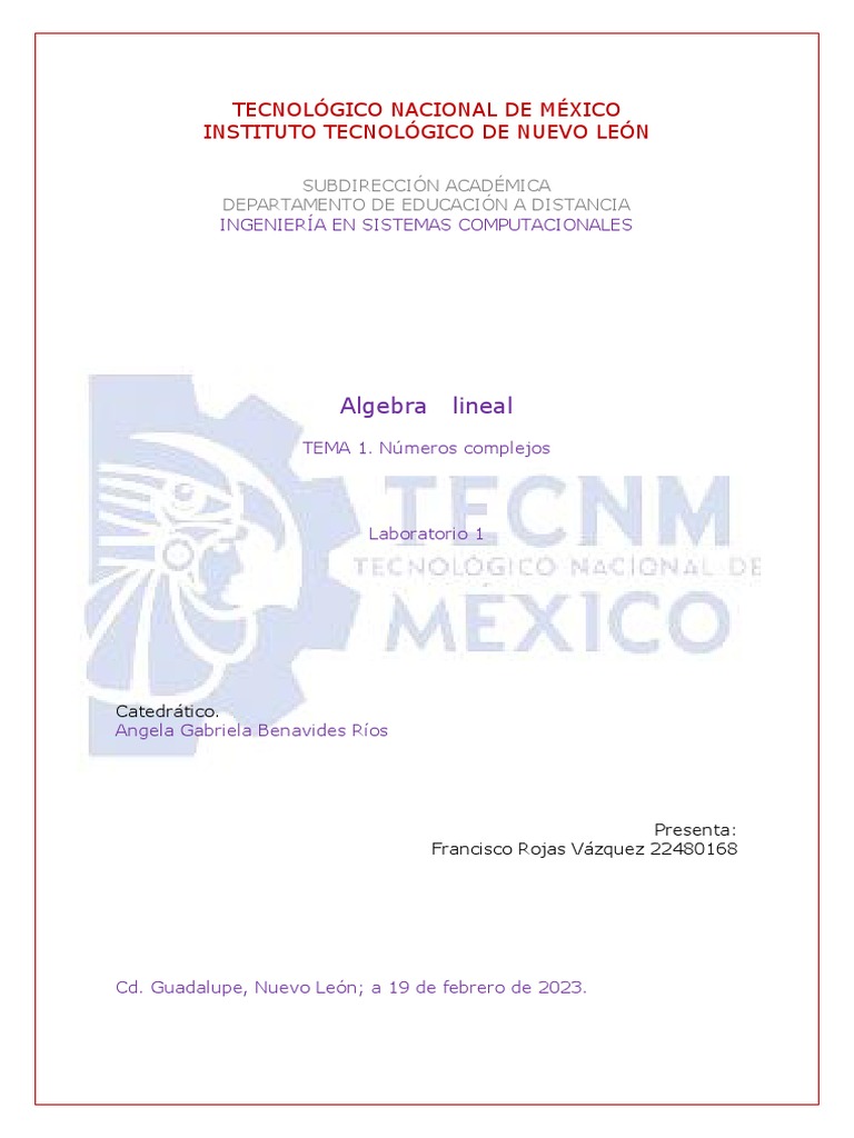 Laboratorio Tema 1 Algebra No Terminado 8C | PDF | Análisis numérico ...