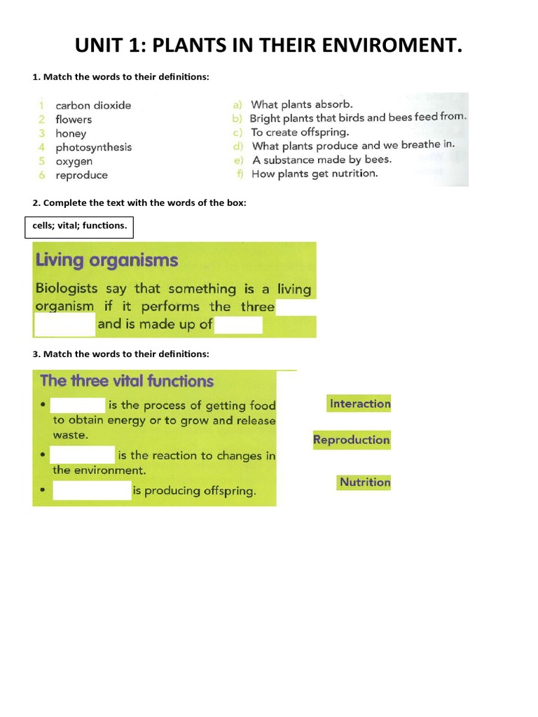 UNIT 1 Natural Science 4º Primaria | PDF