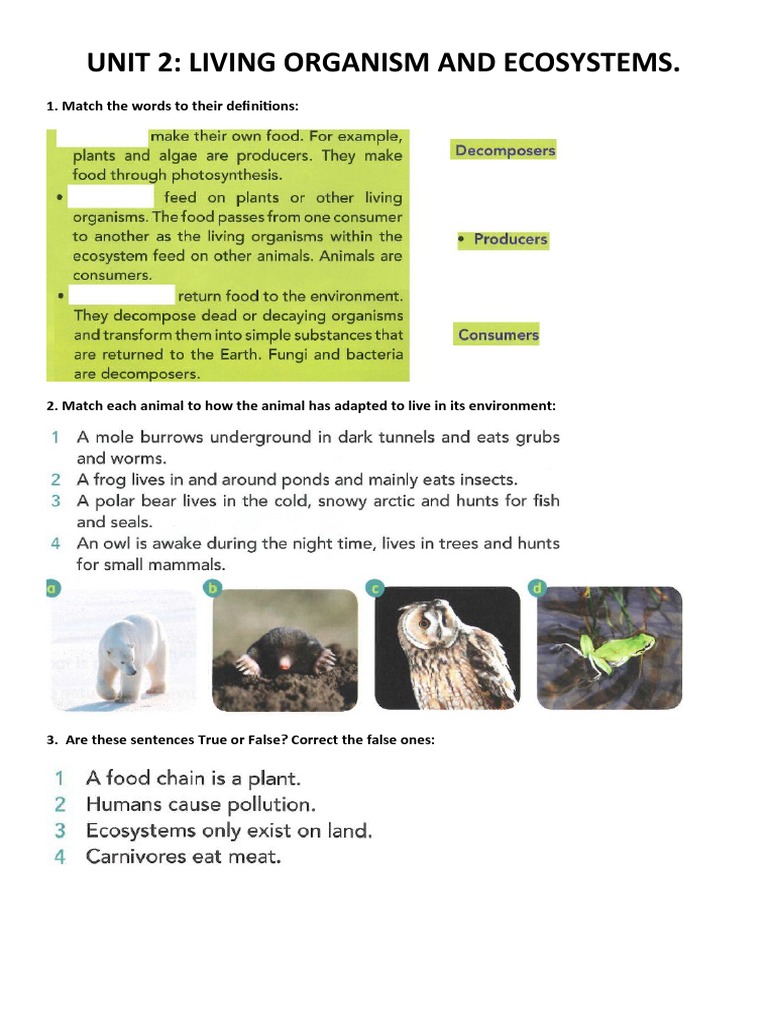 UNIT 2 Natural Science 4º Primaria | PDF | Wellness | Science & Mathematics