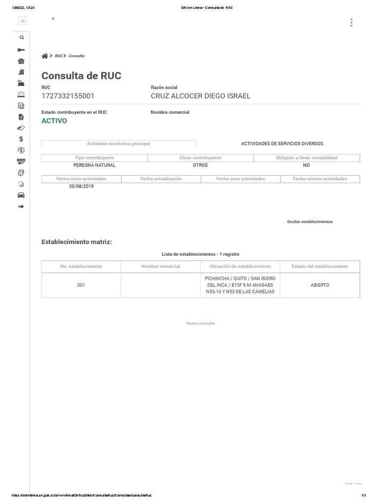 Consulta de RUC: Servicios Diversos | PDF