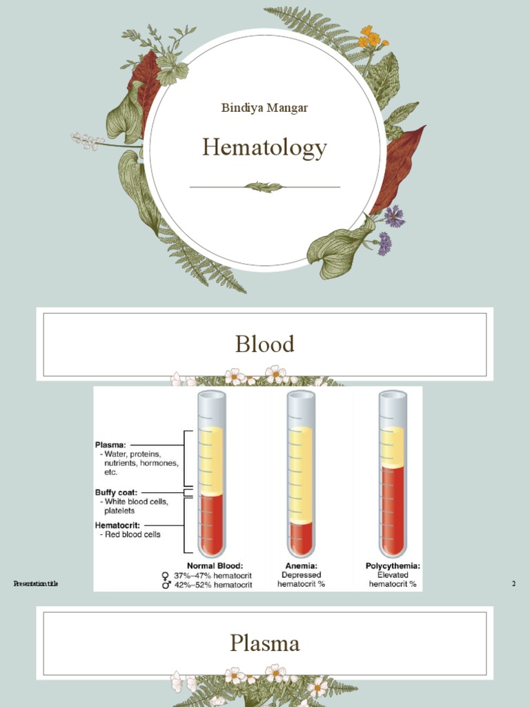 Blood Physiology | PDF