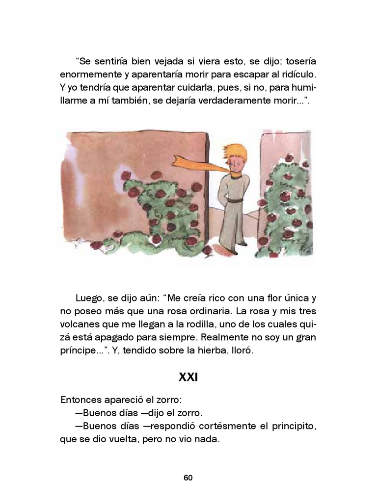 El - Principito - Cap 11 | PDF | El Principito