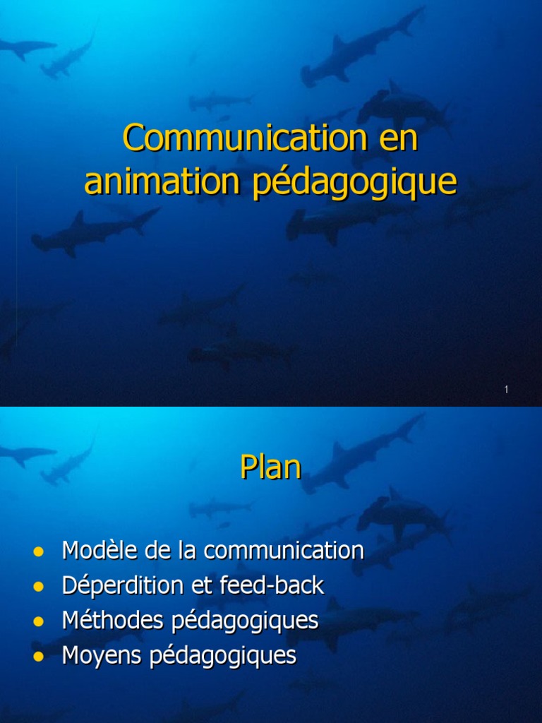 Communication Et Animation | PDF | la communication | Pédagogie