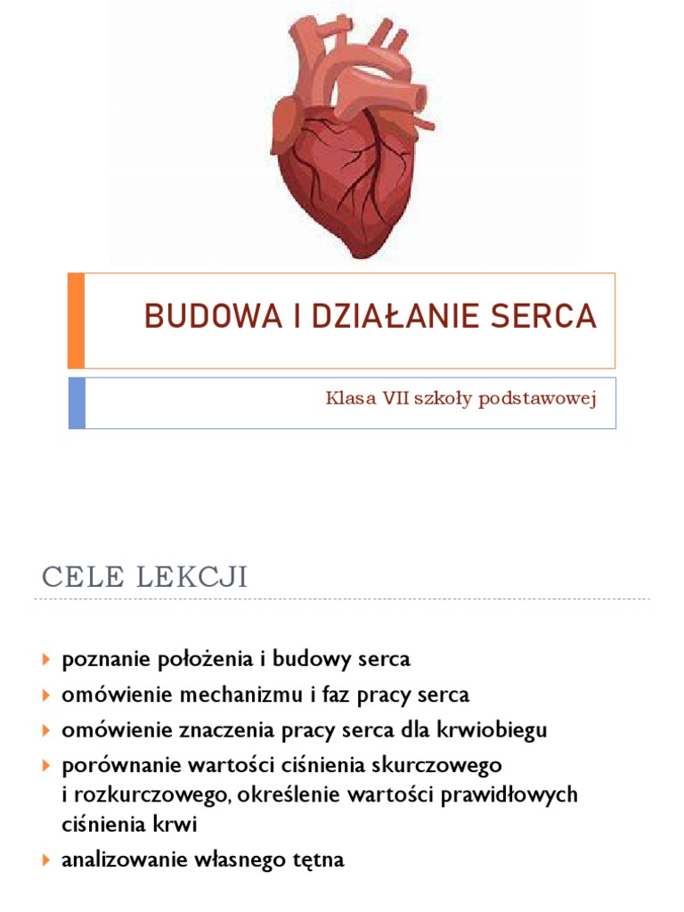 Budowa I Działanie Serca | PDF