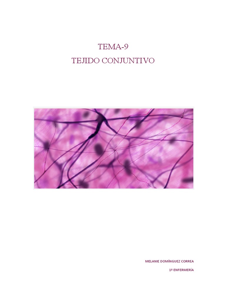 Tema-9 Tej Conjuntivo PDF | PDF | Sistema circulatorio | Tejido conectivo