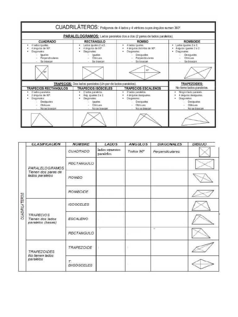 Triángulos y Cuadriláteros | PDF