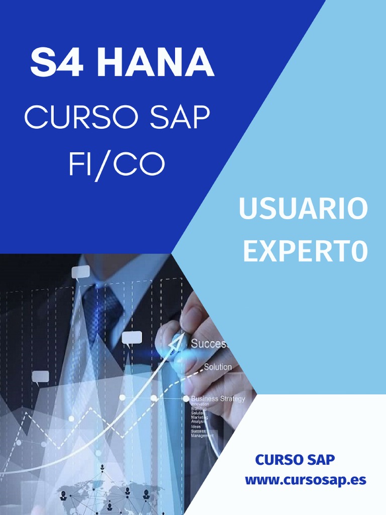 Curso Sap Fico Usuario Experto (V. Cursosap) | PDF
