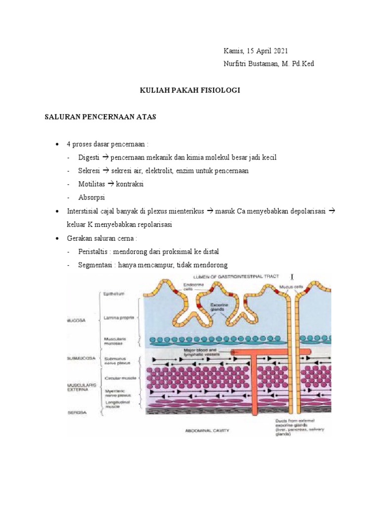 Kulpak Fisiologi | PDF | Pengembangan Diri | Kesehatan Holistik