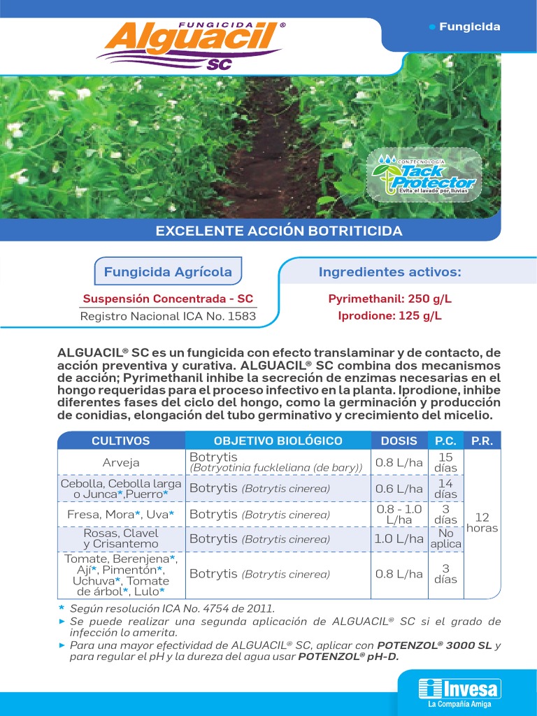 Alguacil | PDF | Salud y bienestar